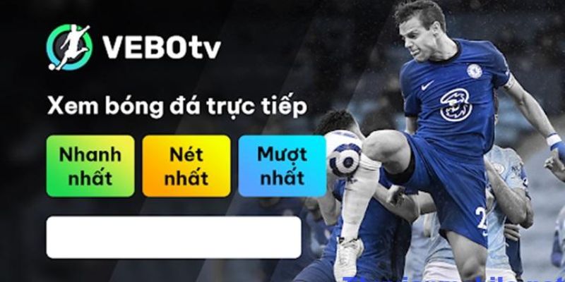 Vebotv - Kênh Xem Trực Tiếp Bóng Đá Full HD Không Chặn